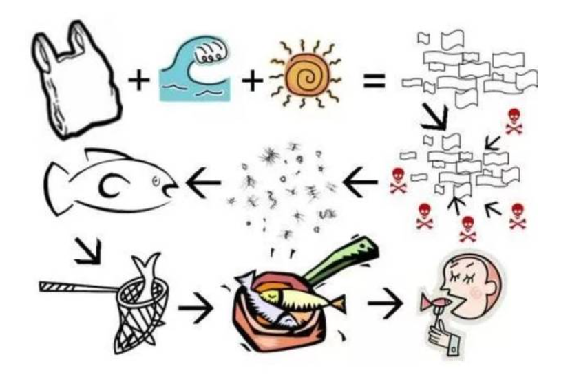 Do You Know How Microplastics Get into the Human Body?